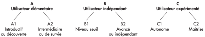 A1, A2, B1, B2, C1, C2 : Découvrez les niveaux CECRL